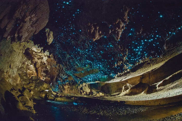 From glow-in the-dark to massive caverns: 8 most unique caves that ...