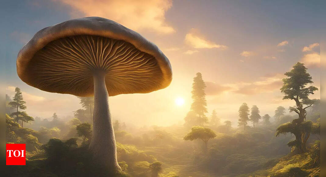 400 million years ago Earth was covered by THIS vegetation - Times of India