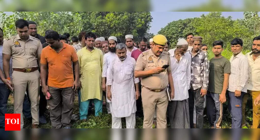 Bijnor: Grave of 85-Year-Old Man Disturbed: Skull Missing in Bijnor ...