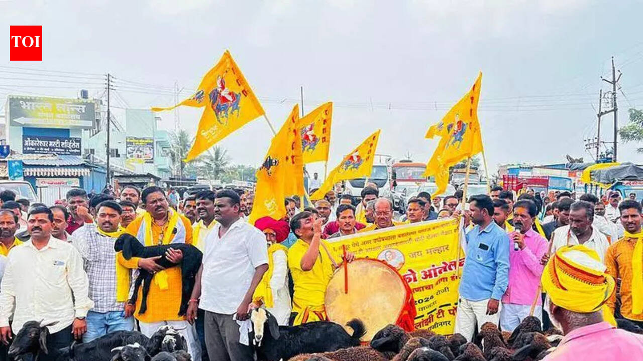 Members Of Dhangar Community Hold ‘rasta Roko’ Agitations To Demand ...