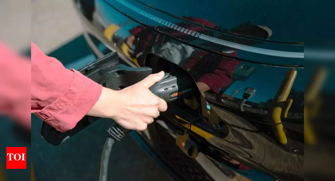 Electric Car Charging Incident Leaves Woman with Burn Injuries in Kochi ...