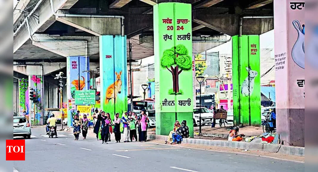 Zirakpur Flyover: Safety Goes For A Toss As Commuters Dodge Squatters On Busy Zirakpur Flyover ...