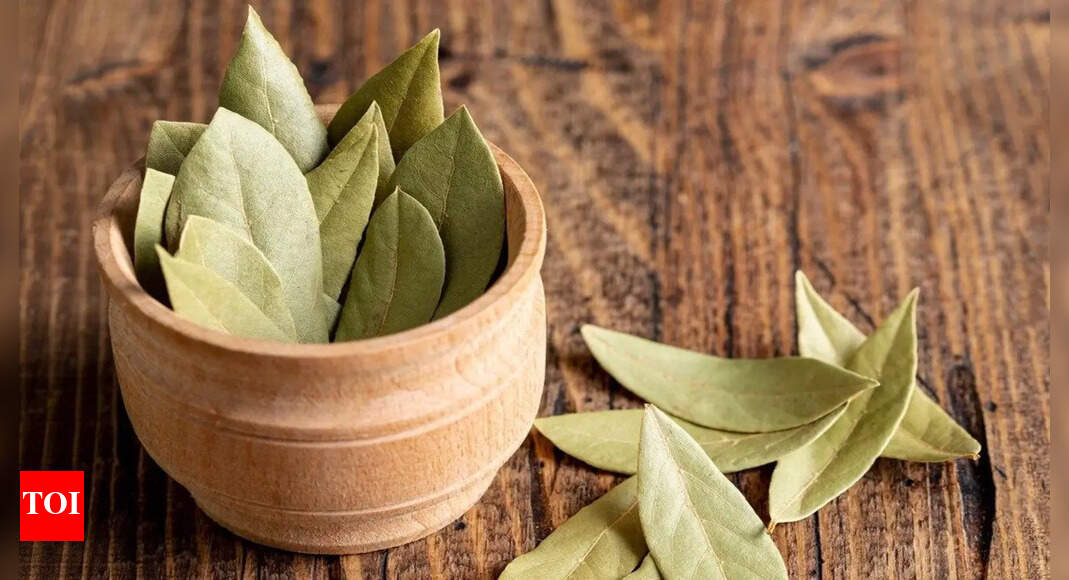 Bay Leaf Manifestation: How To Manifest With Bay Leaf? | - Times of India