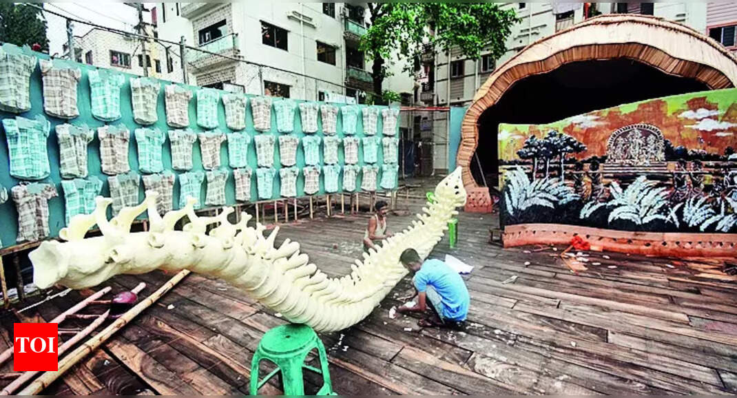 Pre-rg Kar ‘spine’ Theme Puts Puja Organisers In A Flap | Kolkata News ...