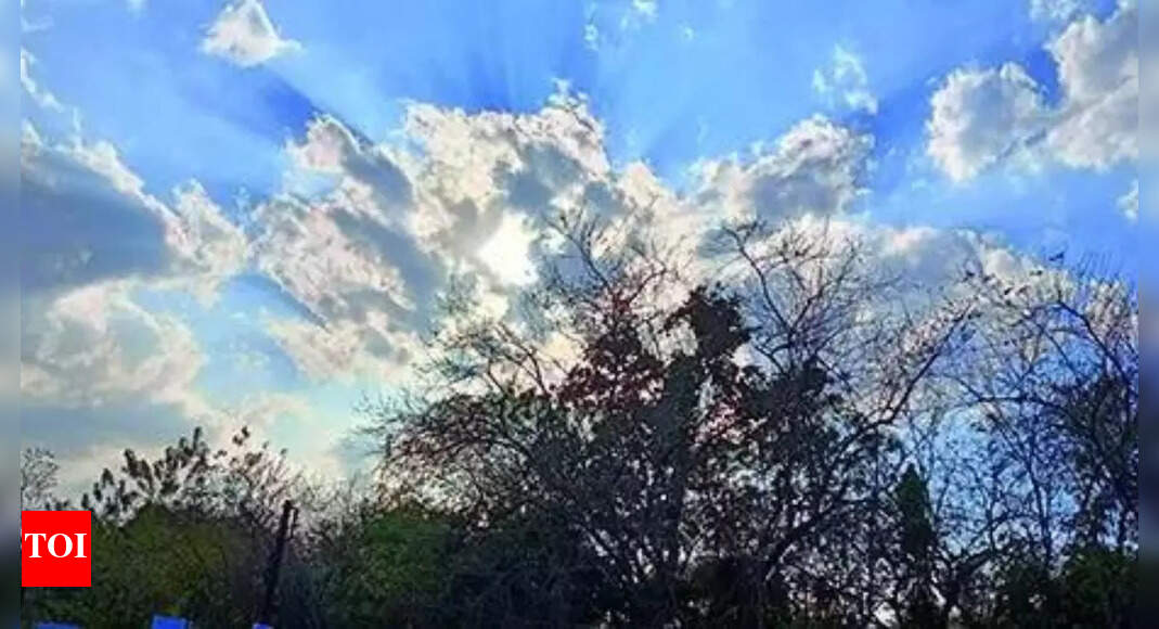 Monsoon 2024: Regional variation puts Rajasthan in the spotlight, arid ...