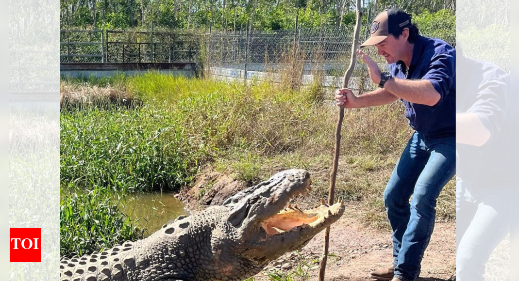 Matt Wright faces trial after chopper crash while collecting crocodile ...