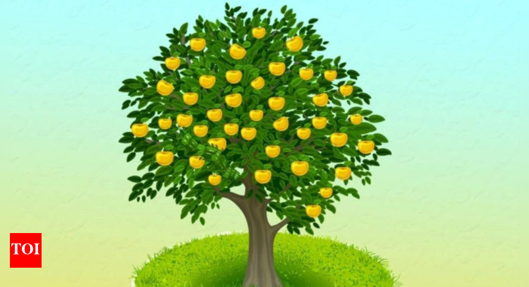 Optical illusion: Only a visually sharp person can spot the caterpillar ...