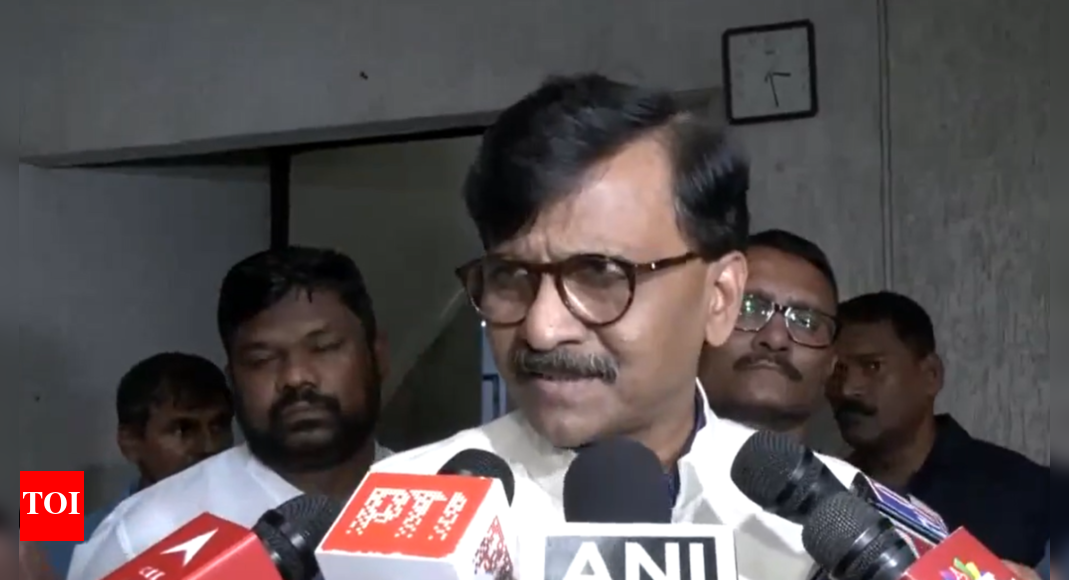'Court has not said that I ... ': Sanjay Raut on 15-day jail sentence in defamation case filed ...