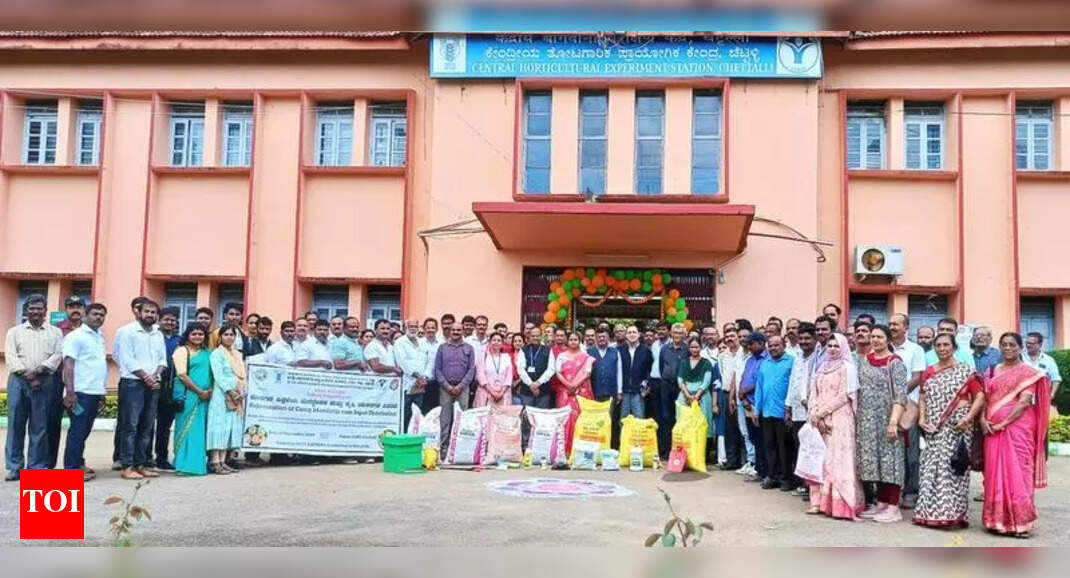Growers Urged To Help Revive Kodagu Orange | Mysuru News - Times of India
