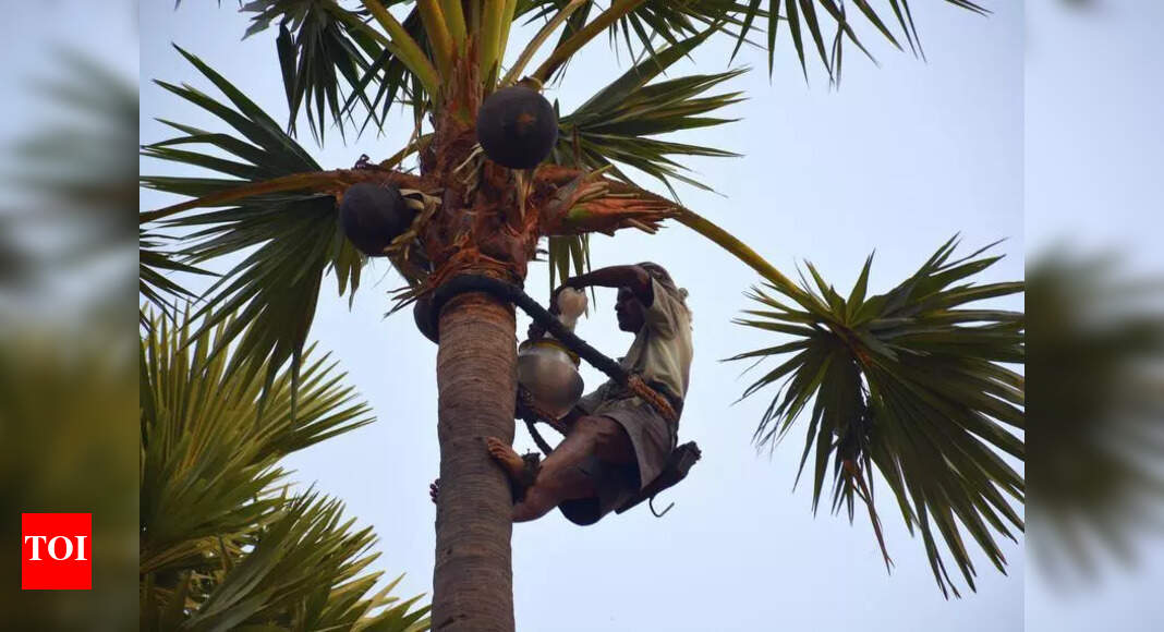 Expert Panel To Study Alcohol Content In Toddy | Thiruvananthapuram ...
