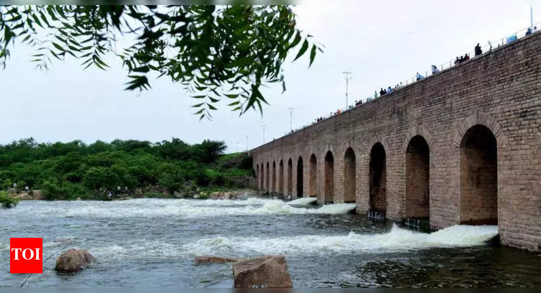 HYDRAA: Hydraa Gets Full Control Of Lakes | Hyderabad News - Times of India
