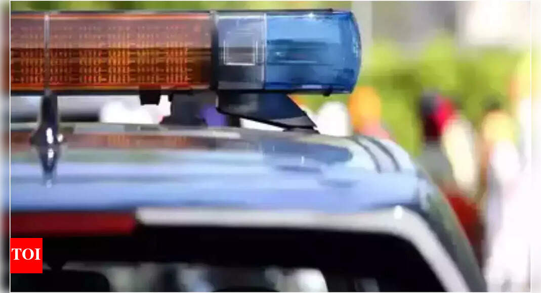 'Dog bite scar, monkey bite mark on arm': Missing Haryana man traced in ...