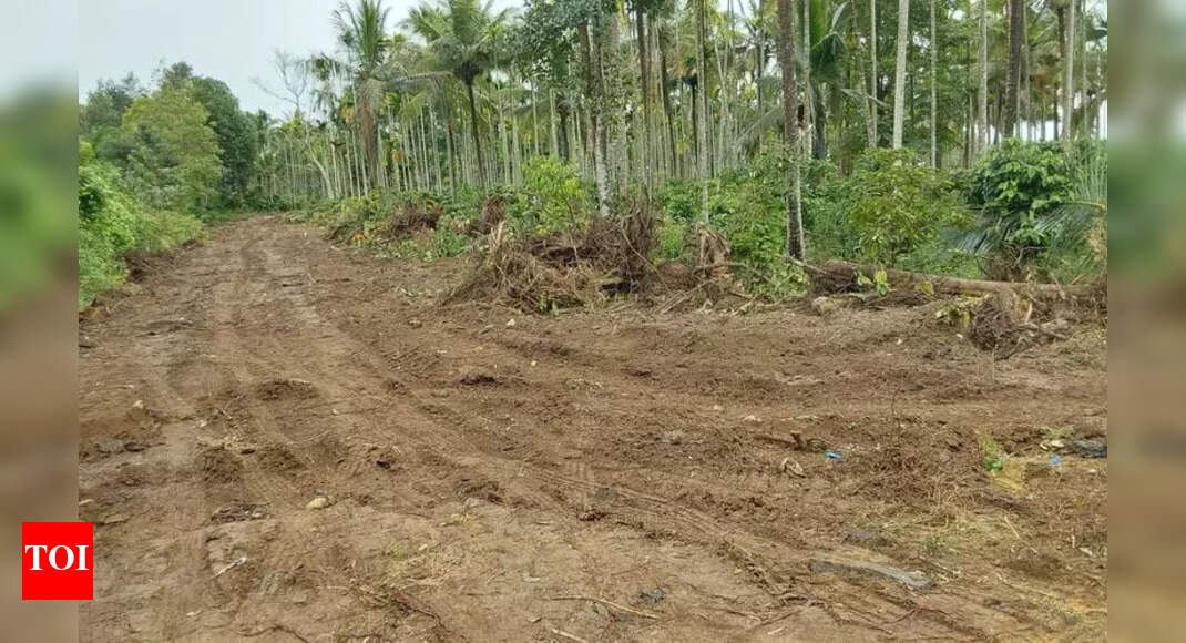 NH-275: Nh-275 Widening Works Begin | Mysuru News - Times of India