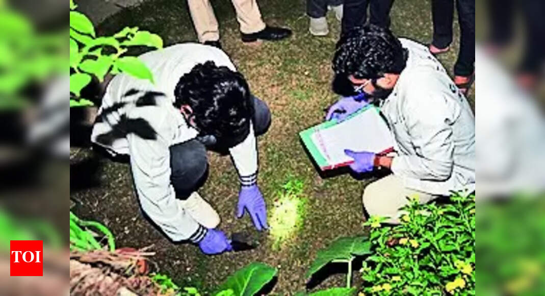 Sector-10 Grenade Blast: Prime Accused Connected With Bki Terrorist ...
