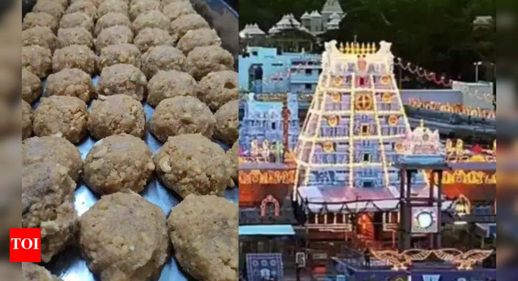 Tirupati Laddu: Laddu Ghee Adulteration: Sit Appointed By Ap Begins Probe | Hyderabad News ...
