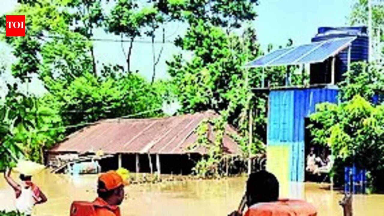 Embankment Breached In Sitamarhi; Water Enters Parts Of Bagaha Town ...