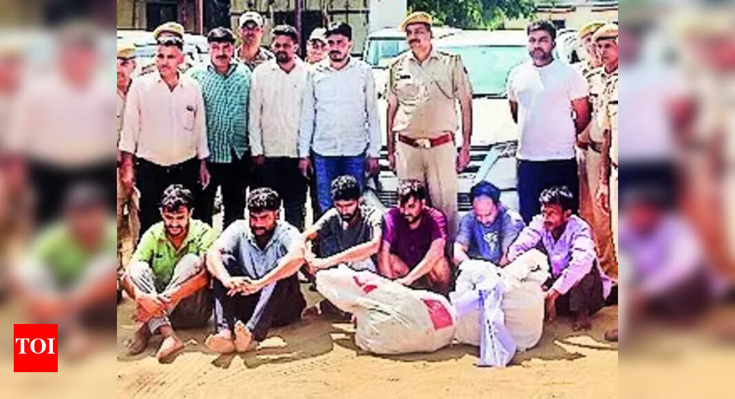 Inter-state Gang Of Atm Thieves Busted In Jhunjhunu; 6 Arrested ...