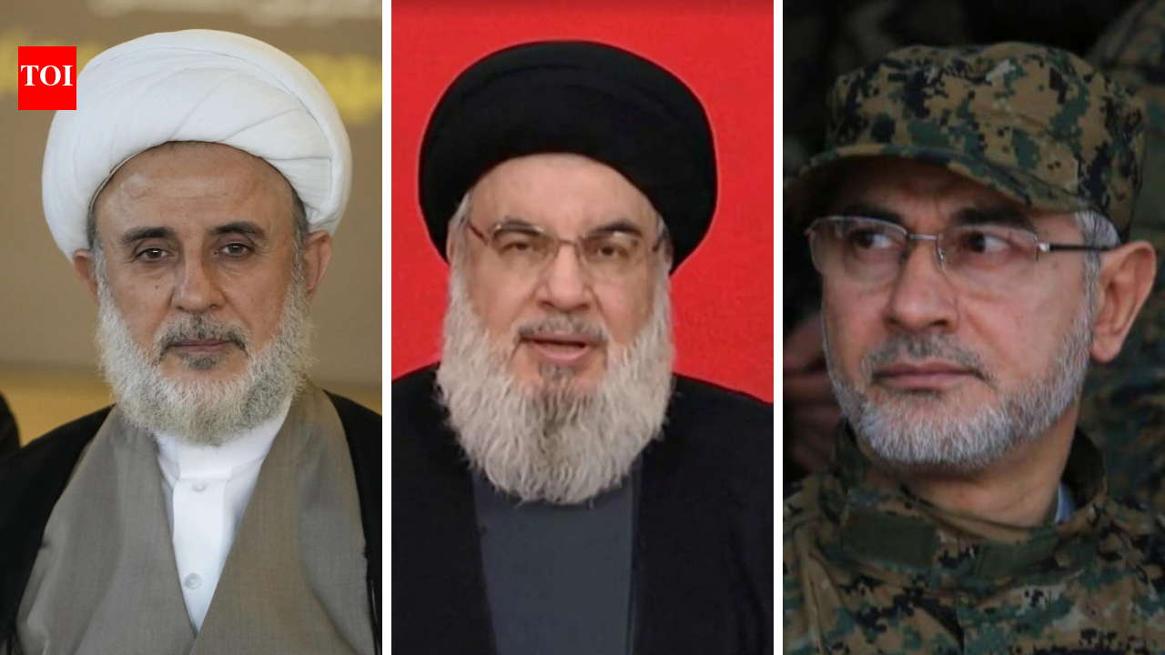 Hassan Nasrallah to Nabil Kaouk: 7 Hezbollah commanders killed in ...