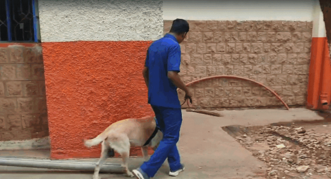 Madurai Bomb Threat: Three Schools Receive Anonymous Mail | Madurai News - Times of India