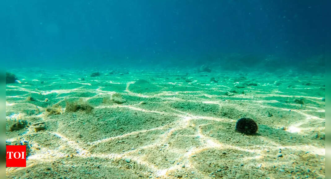 This is how an ancient sunk seafloor beneath Pacific is impacting Earth ...