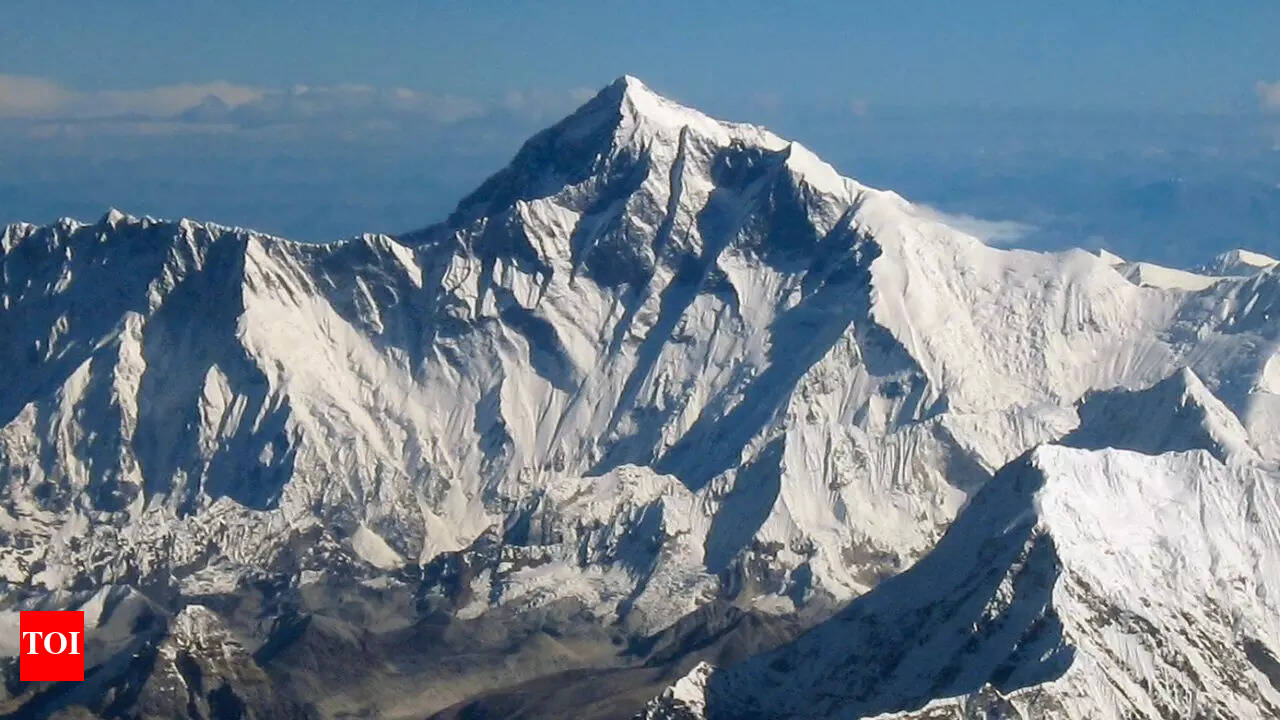 What is the largest mountain in the world Hint It s not Mount Everest World News Times of India