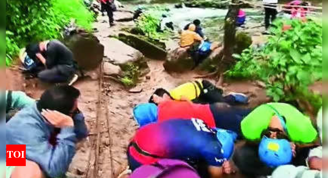 Drone: Drone Disturbs Bees, Stings 30 Trekkers at Shitkhada Waterfall ...