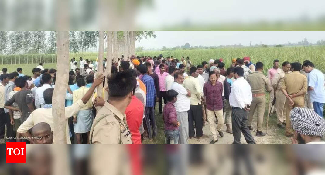 Tiger Attack: Tiger Attack Claims Fifth Victim in Kheri: Farmer Killed ...