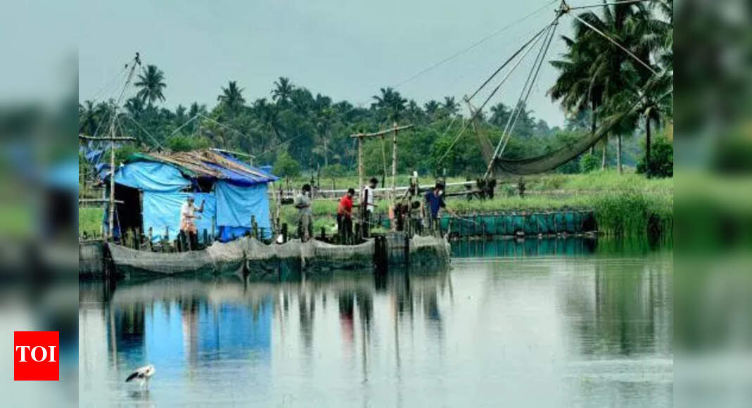 Kadamakkudy-Pizhala Bridge Project: Land Acquisition for Approach Road ...
