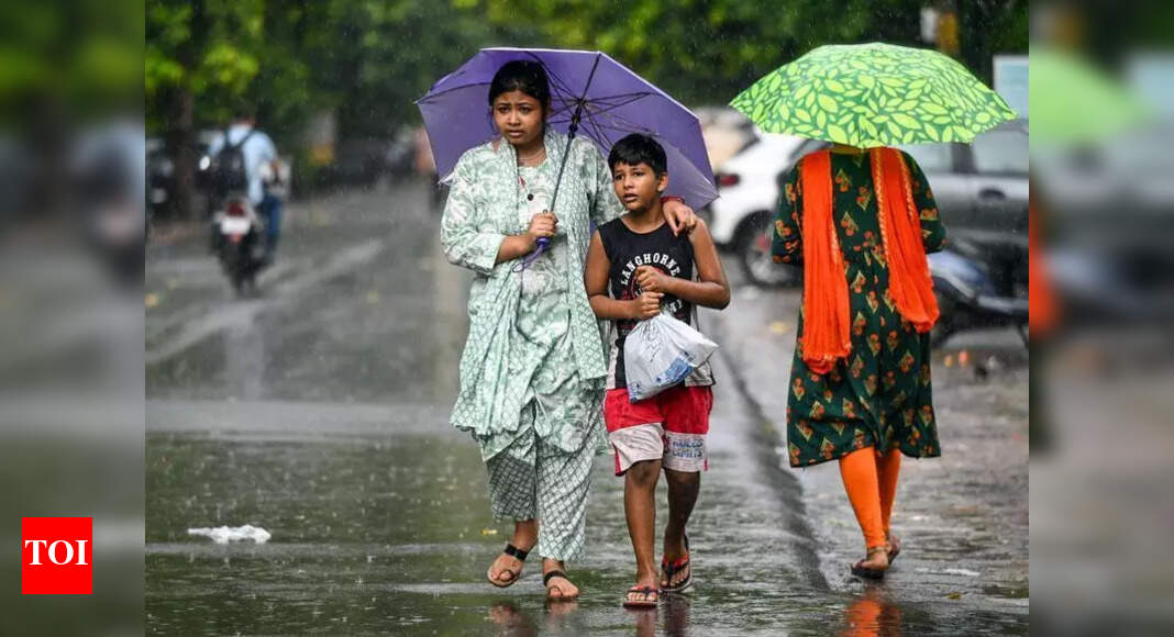 Vidarbha: Vidarbha Monsoon Delivers 15% Surplus Rains This Year – Nagpur Sees 8% Increase ...