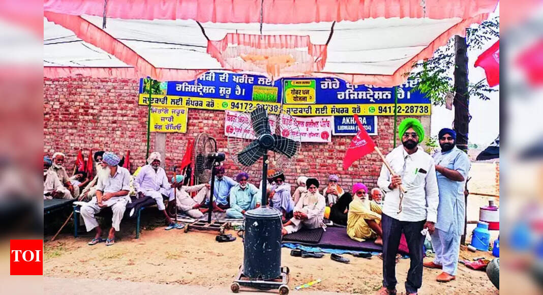 Biogas Plant: Punjab CM Ensures Pollution-Free Biogas Plant Resumption in Ghungrali Village ...