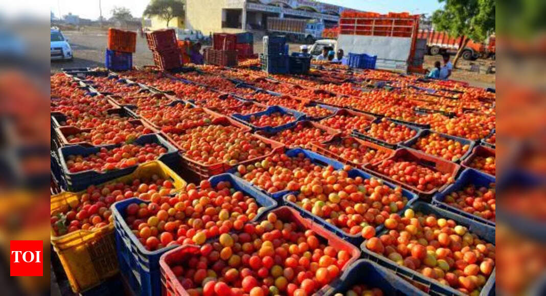 Tomato Prices: Soaring Tomato and Onion Prices Burden Household Budgets | Vijayawada News ...