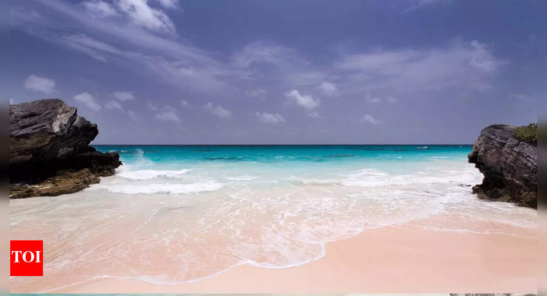 6 stunning pink beaches and the science behind their colour - Times of ...