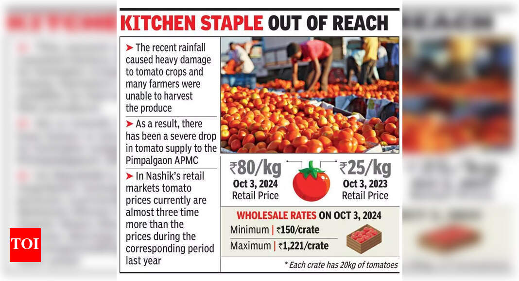 Tomato Price: Tomato Prices Surge to Season Highs at Pimpalgaon APMC ...