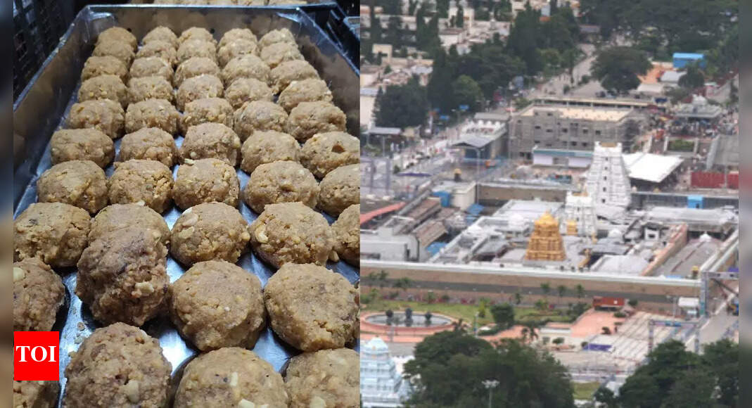 Tirupati laddu row: TDP pins it on Jagan’s YSRCP govt for AR Dairy ghee contract | Vijayawada ...