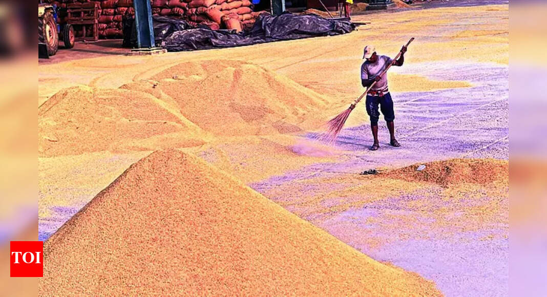 Punjab Paddy Procurement Crisis: Arhtiyas Strike Disrupts Harvest ...