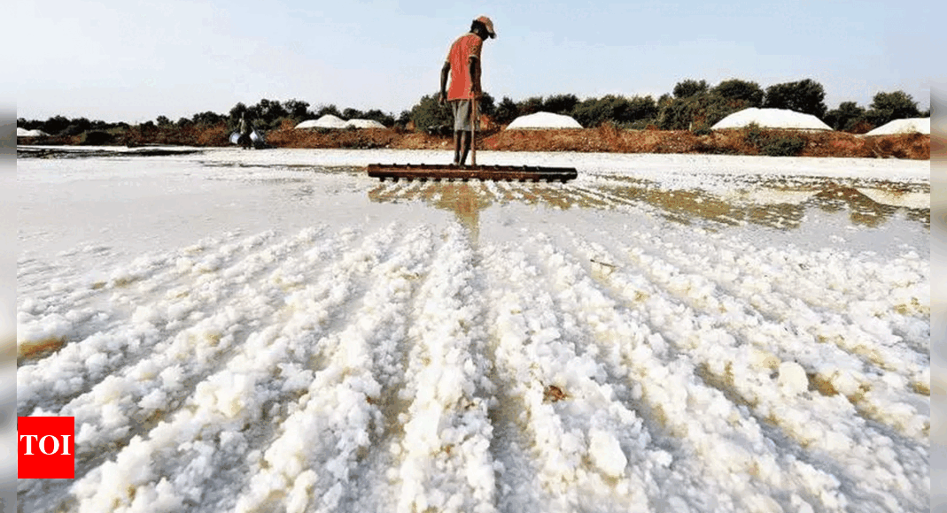 Government Allocates Valuable Salt Pan Land for Educational Trust in ...