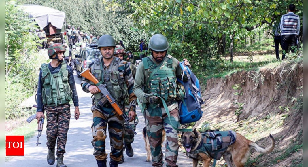 J&K: Security forces eliminate two terrorists in Kupwara operation ...