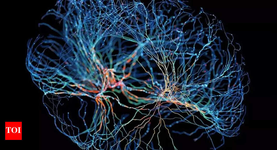 Brain mapping: What is it, how it works, practical applications, and ...