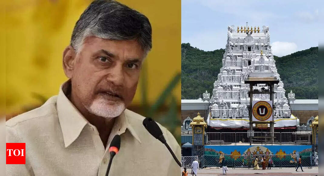 'VIP culture should be reduced in Tirumala': CM N Chandrababu Naidu | Vijayawada News - Times of ...
