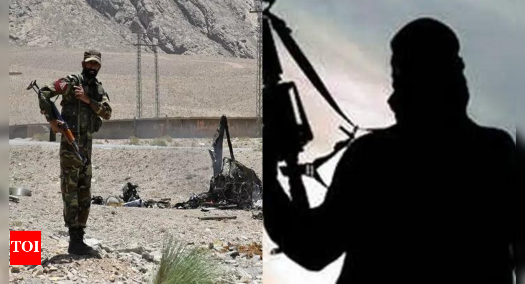 Pakistan: Six soldiers, 6 TTP terrorists killed in gunfight - Times of ...