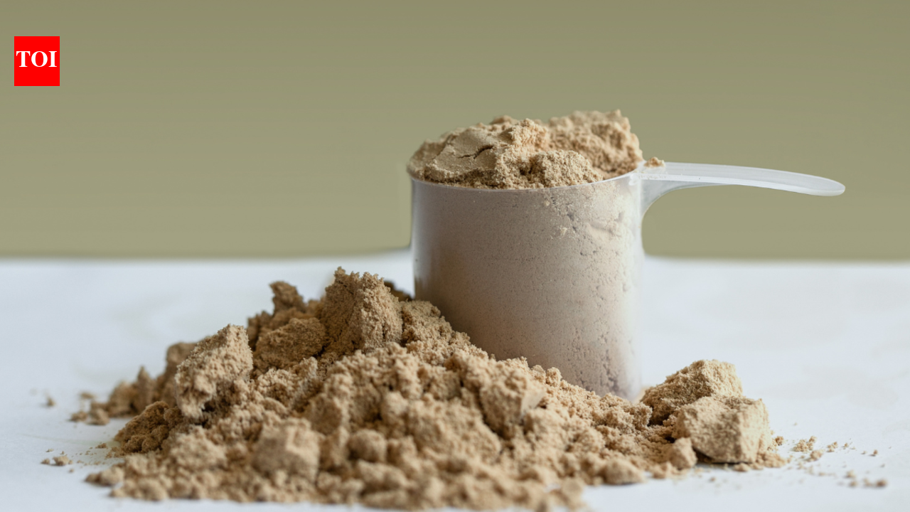 Best Whey Protein Powders To Elevate Your Nutrition - The Times Reviews