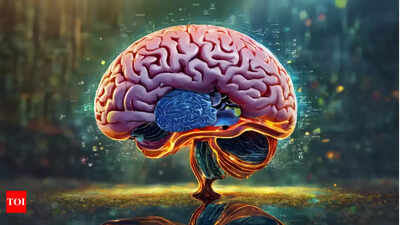 87-Year-Old Becomes Maharashtra's Oldest Organ Donor, Saving a Life ...