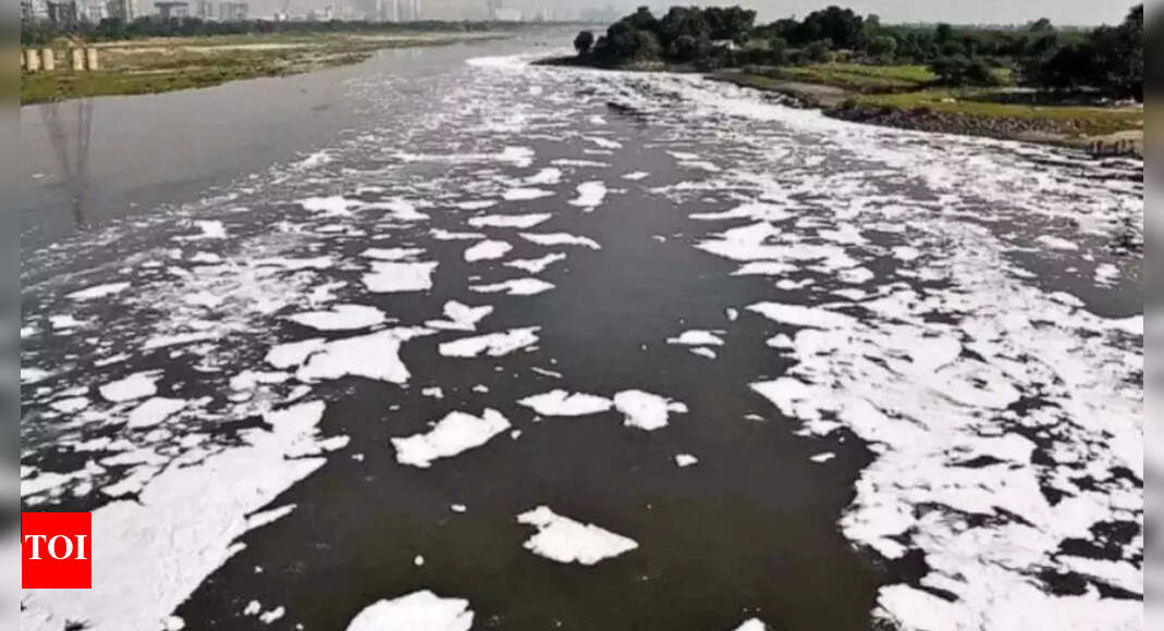 Yamuna river pollution hits record high in Delhi: Faecal coliform levels soar in September ...