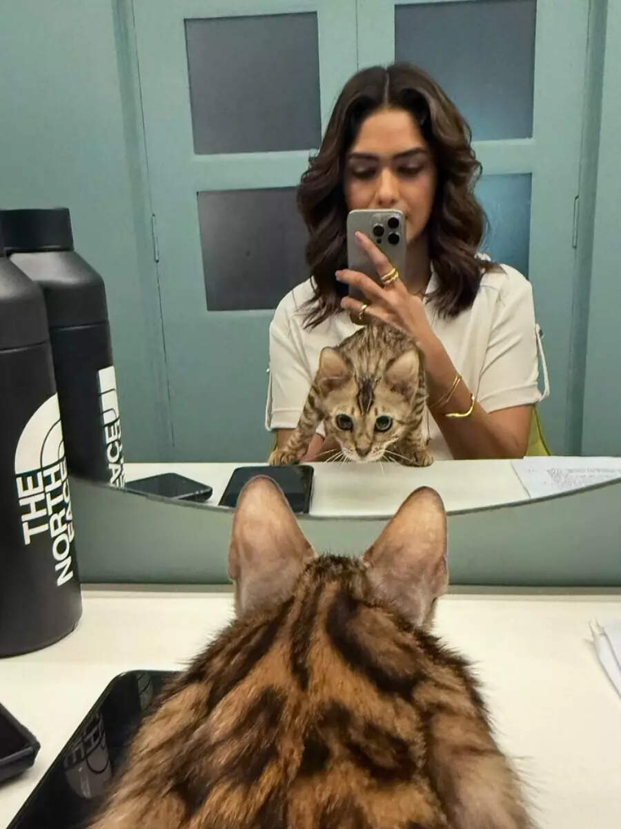 Meow and me | Times of India