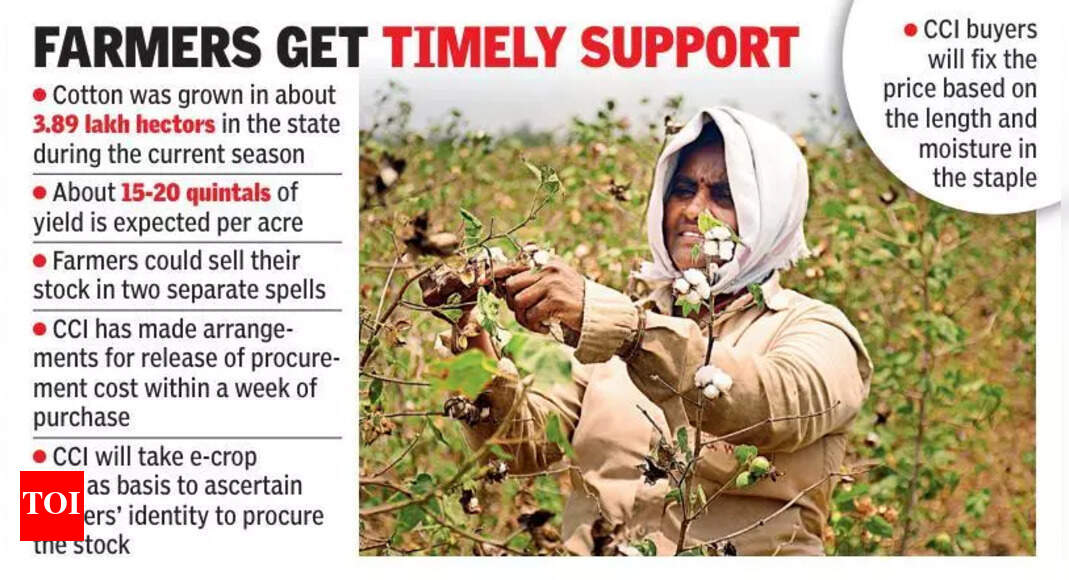 Cotton Corporation Of India: CCI Opens 33 Procurement Centres to ...