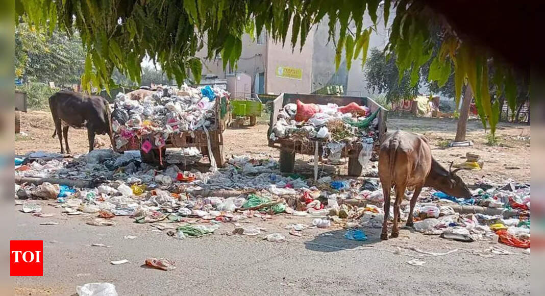 Garbage: Residents Face Health Risks as Garbage Crisis Persists in ...