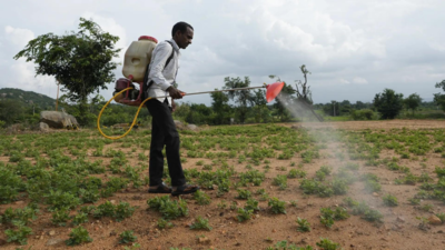 BIS to come out with a National Agriculture Code for best farm practices | India News - Times of ...