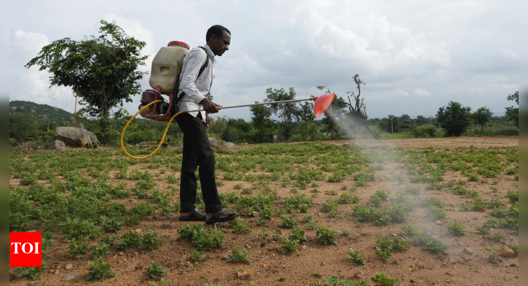 BIS to come out with a National Agriculture Code for best farm practices | India News - Times of ...