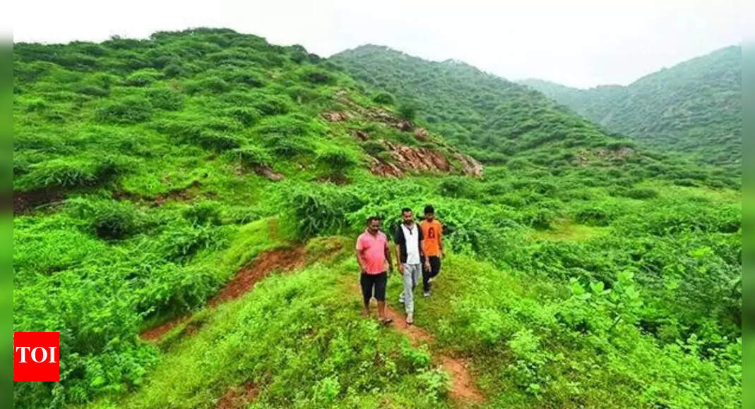 NGT serves notices over Aravali tract auction | Gurgaon News - Times of ...