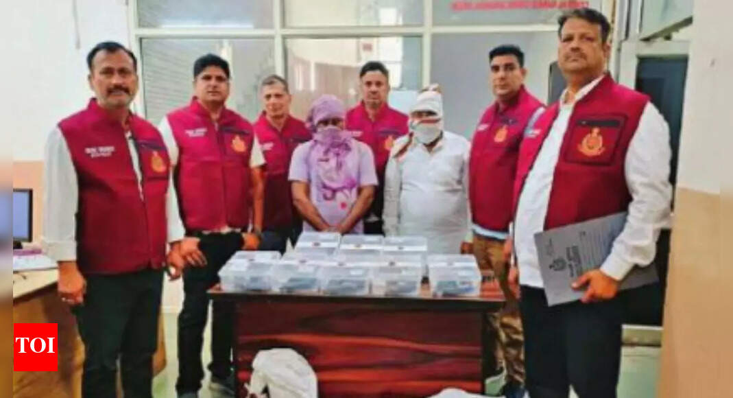 Unveiling the Dark Trade: The Rise of Illicit Weapons in India | Delhi ...